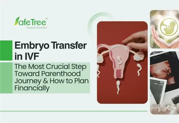 Buy Corporate Insurance & Personal Insurance Plans | SafeTree